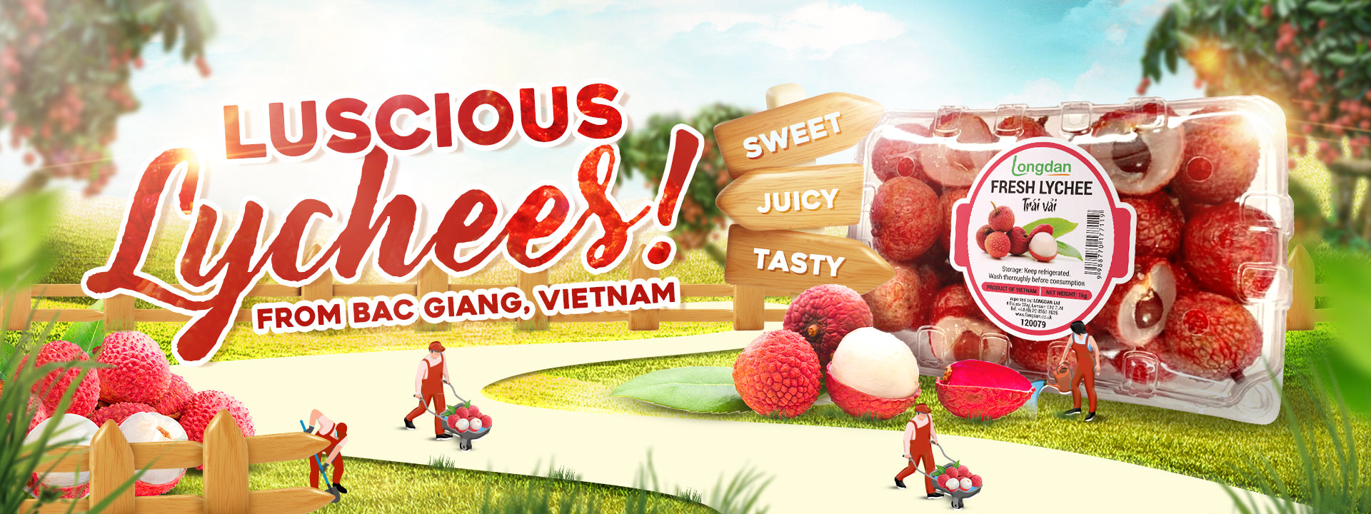 Lychee Dreams: Bac Giang's Delicate Fruit Casts A Spell Of Pure Deligh
