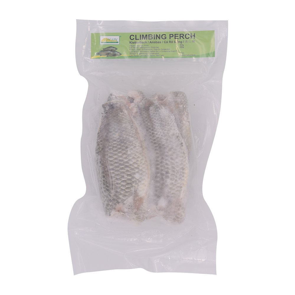 Climbing Perch Fish 500g