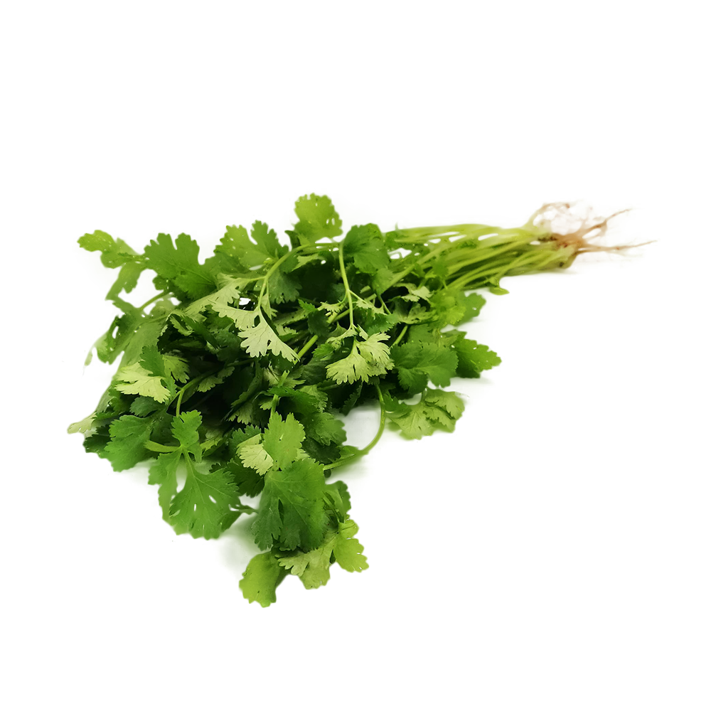 Coriander 100G
