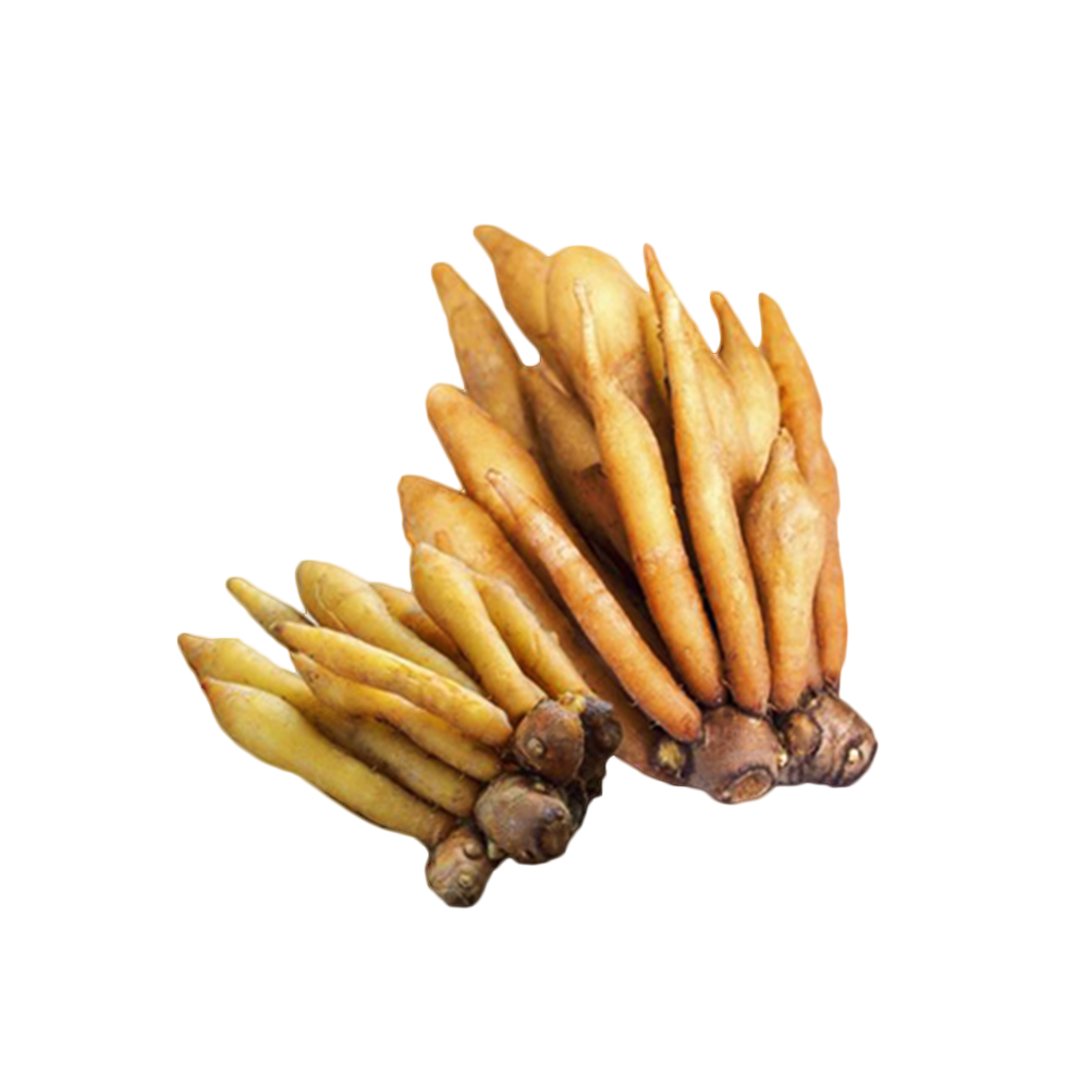 Lesser Ginger 100G